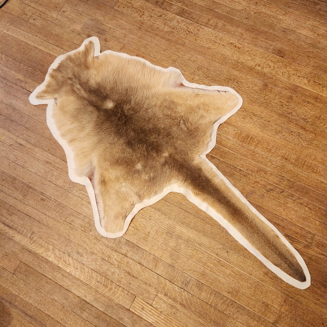 Vintage Kangaroo Hide Rug Real Kangaroo Pelt Rug Felted Bottom - Etsy