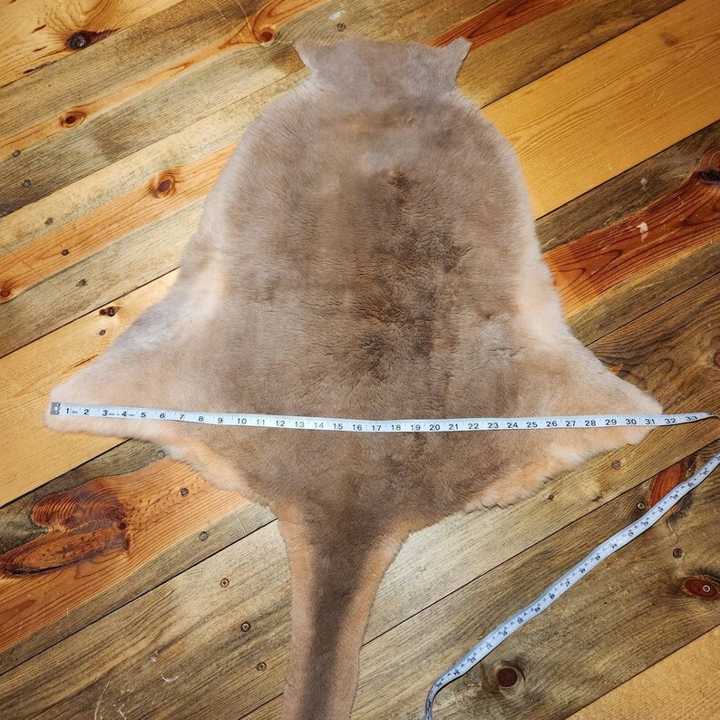 4.5' Real Kangaroo Pelt Kangaroo Skin Rug Real Fur - Etsy