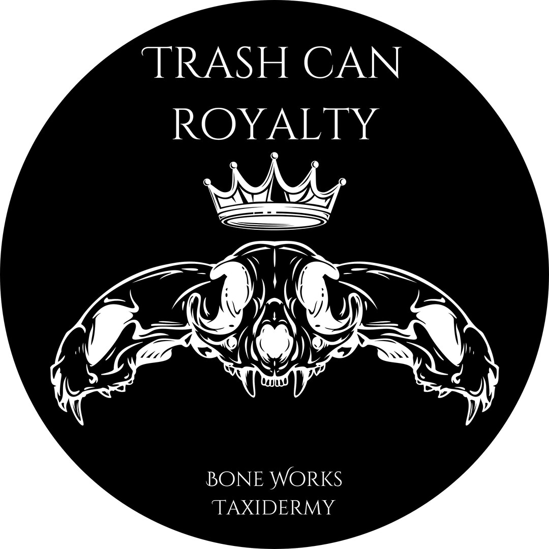 Bone Works Taxidermy Merch, Stickers, Tshirts, Skull Art - Etsy