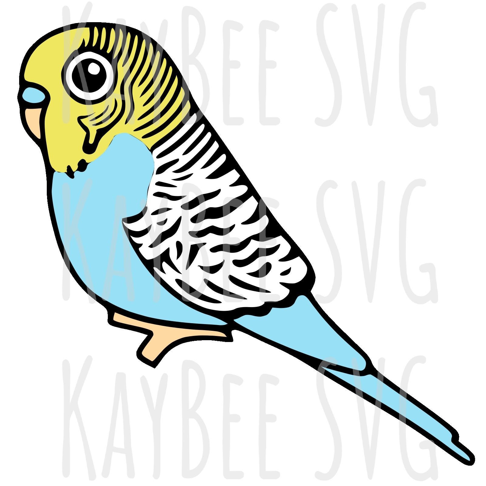 Budgie Birds Images Clipart