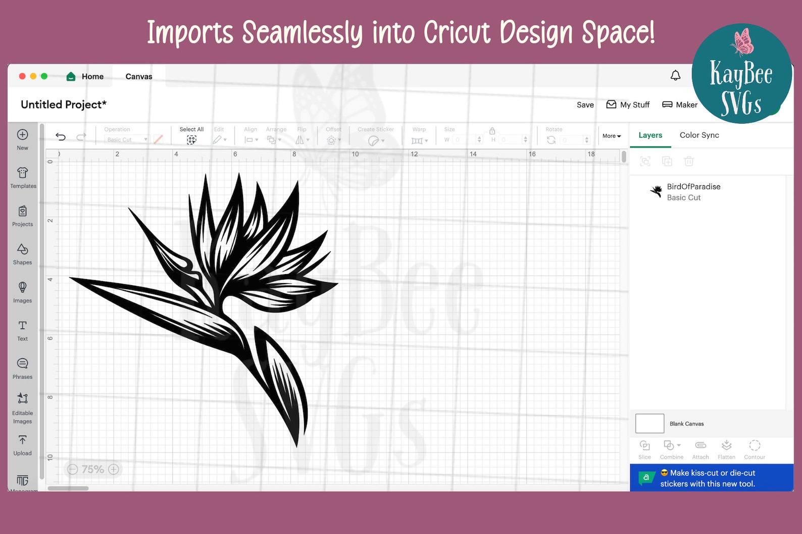 Bird of Paradise Flower SVG: Clipart Cut Files for Cricut, Silhouette ...