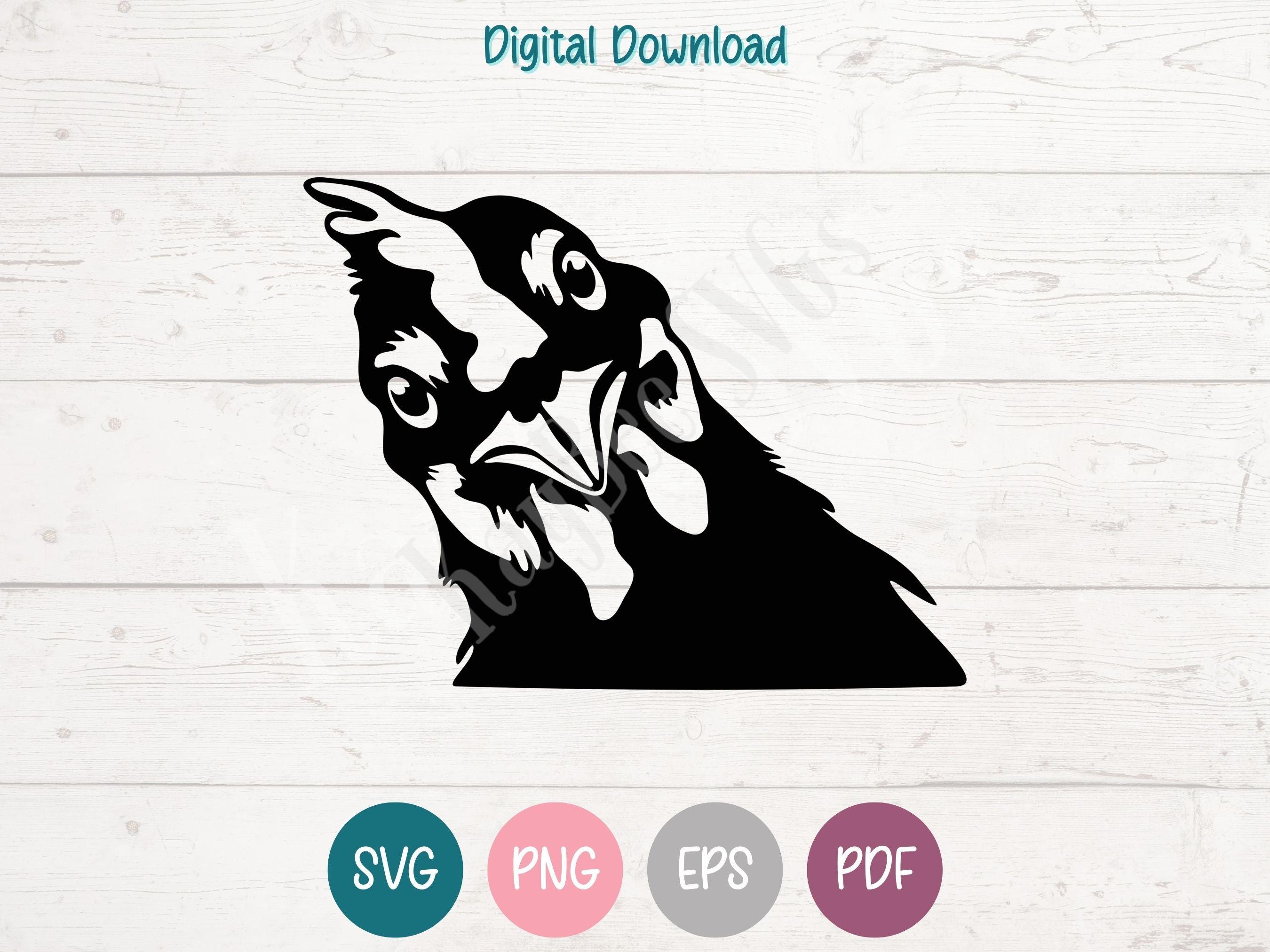 Angry Chicken Peeking SVG PNG Clipart Cut Files for Cricut, Silhouette ...