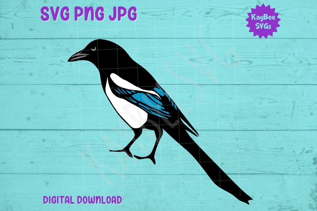 Magpie Bird SVG PNG JPG Clipart Digital Cut File Download for Cricut ...