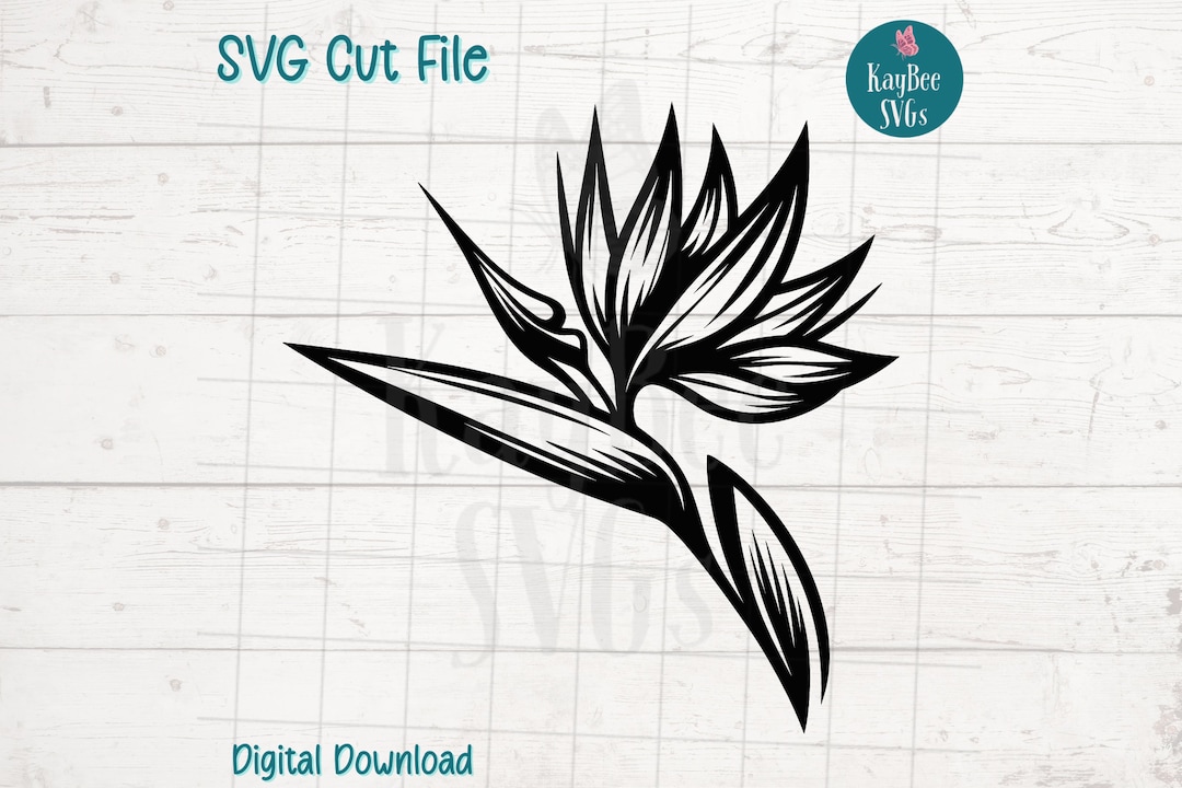 Bird of Paradise Flower SVG: Clipart Cut Files for Cricut, Silhouette ...