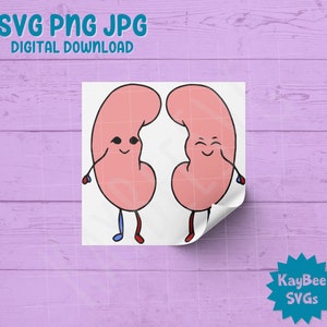 Cute Kidneys SVG PNG Jpg Clipart Digital Cut File Download for - Etsy