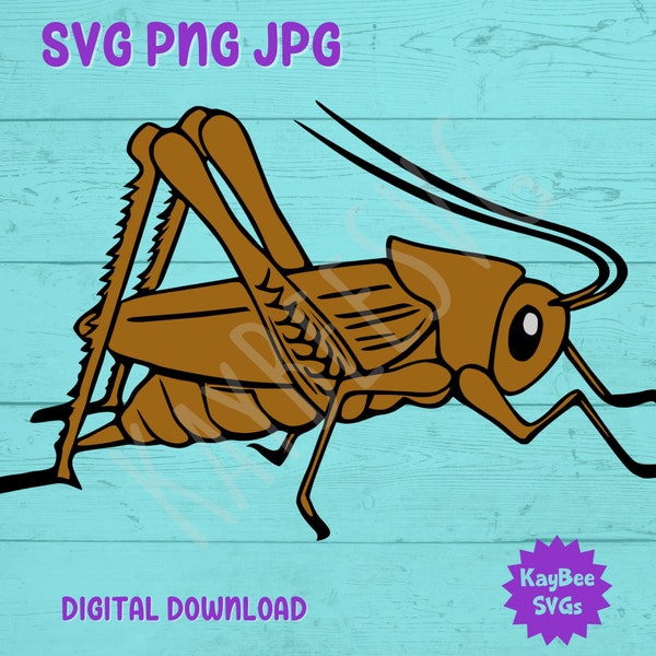 Cricket Bug Clip Art - Etsy