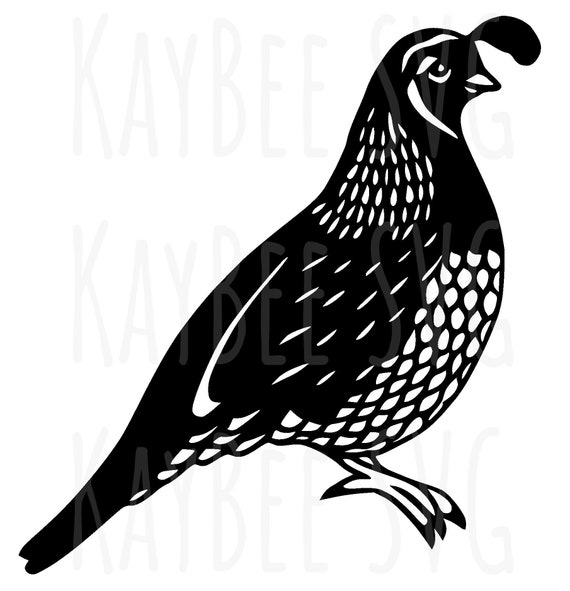Quail Silhouette Clip Art