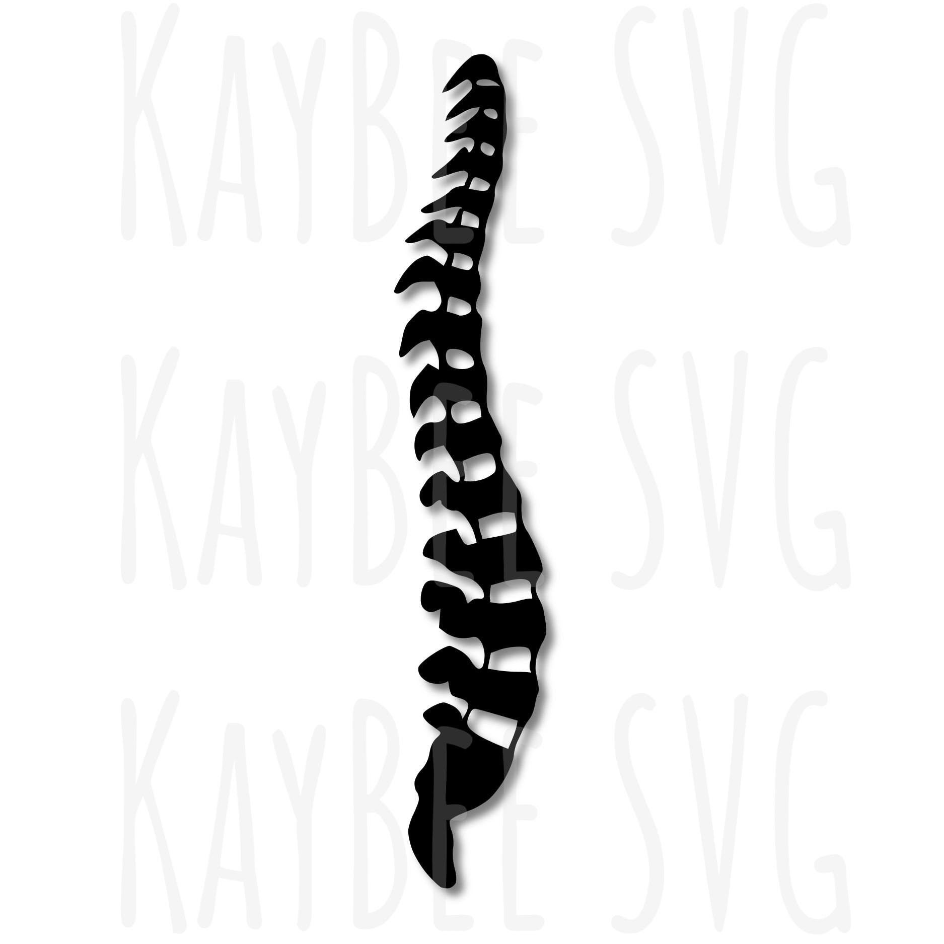 Spine Silhouette Vector