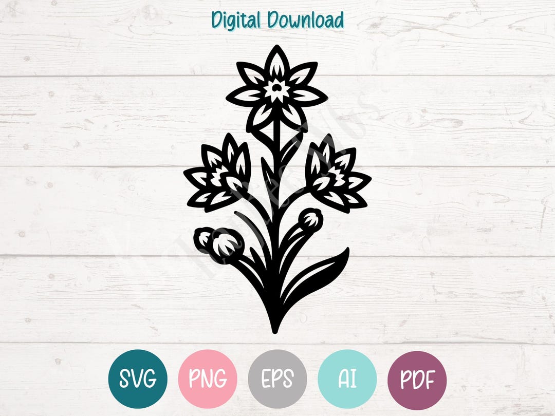 Edelweiss SVG: Clipart Cut Files for Cricut, Silhouette, Laser ...