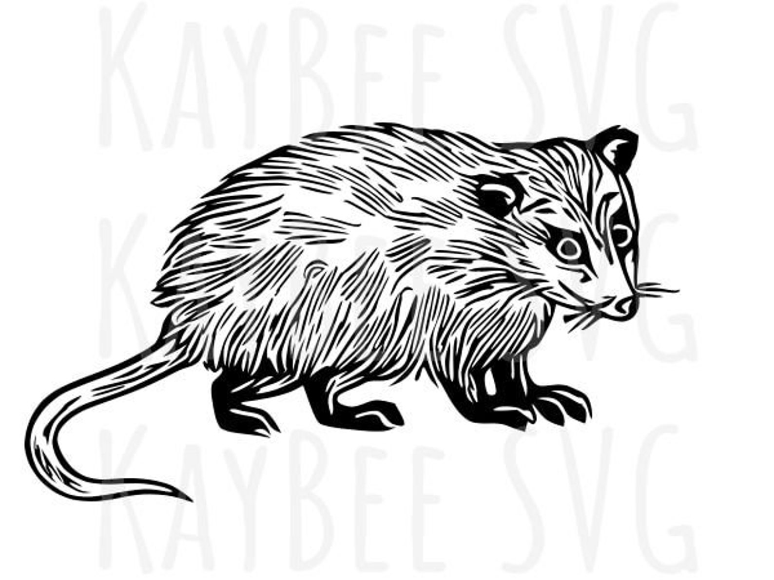Opossum Possum SVG PNG JPG Clipart Digital Cut File Download - Etsy
