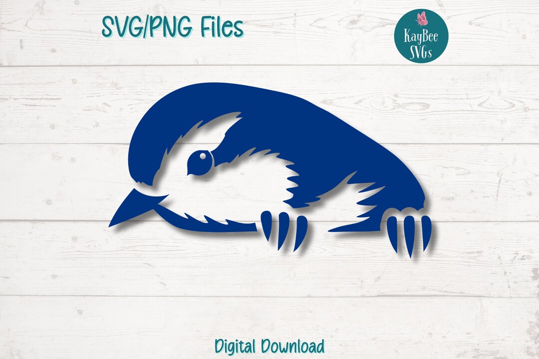 Peeking Bluebird SVG PNG Cut Files for Cricut, Silhouette, Digital ...