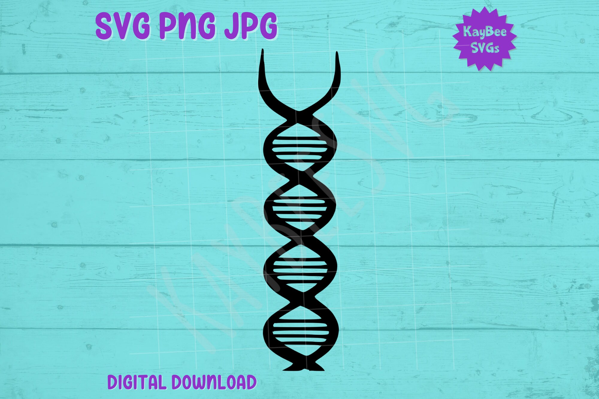 Simple Dna Strand Clip Art