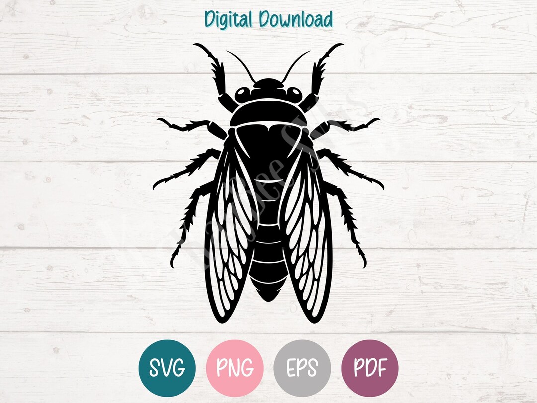 Cicada SVG PNG Clipart Cut Files for Cricut, Silhouette, Laser ...