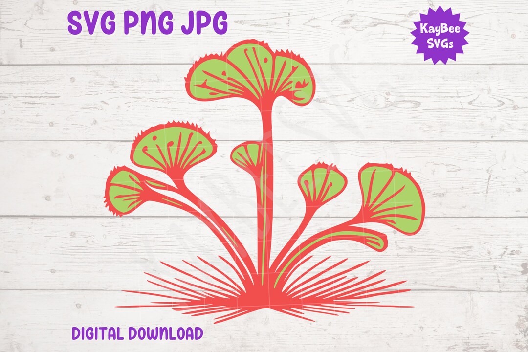 Sundew Flower Plant SVG PNG JPG Clipart Digital Cut File Download for ...