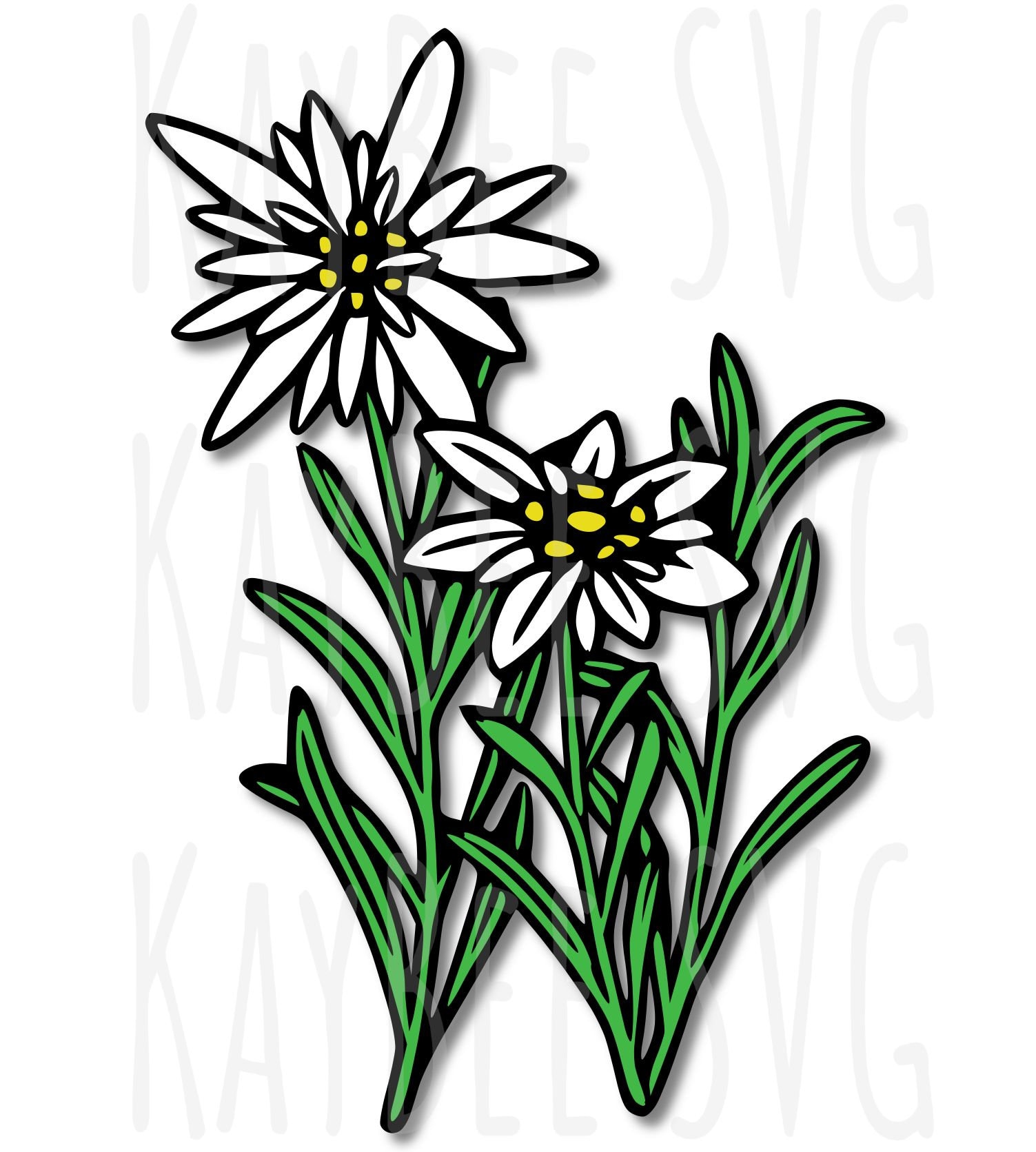 Edelweiss SVG PNG JPG Clipart Digital Cut File Download for - Etsy UK