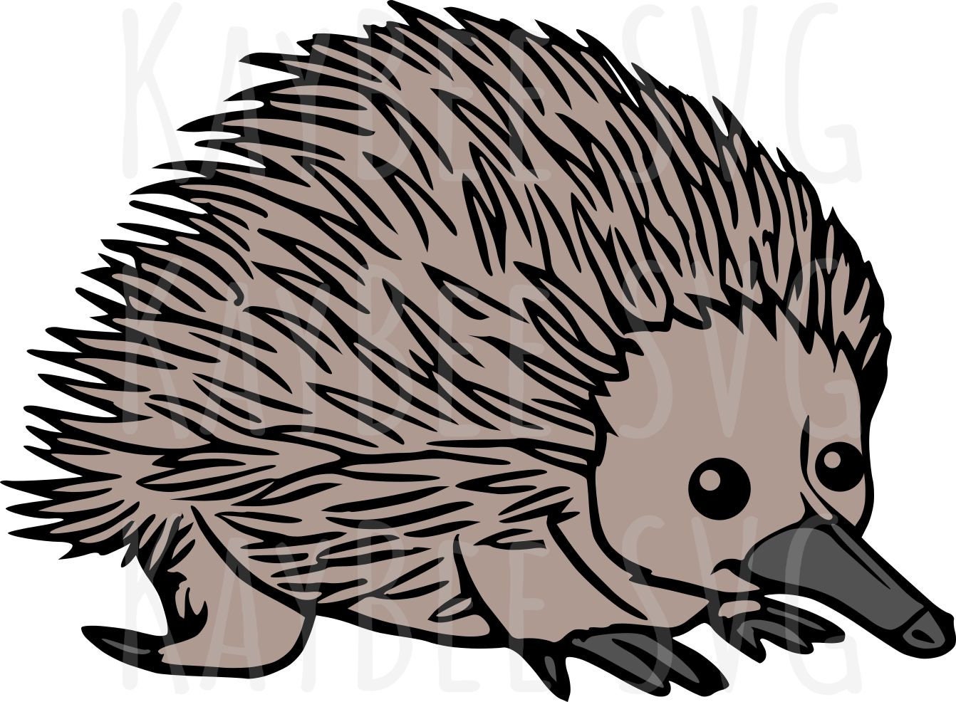 Echidna Clipart