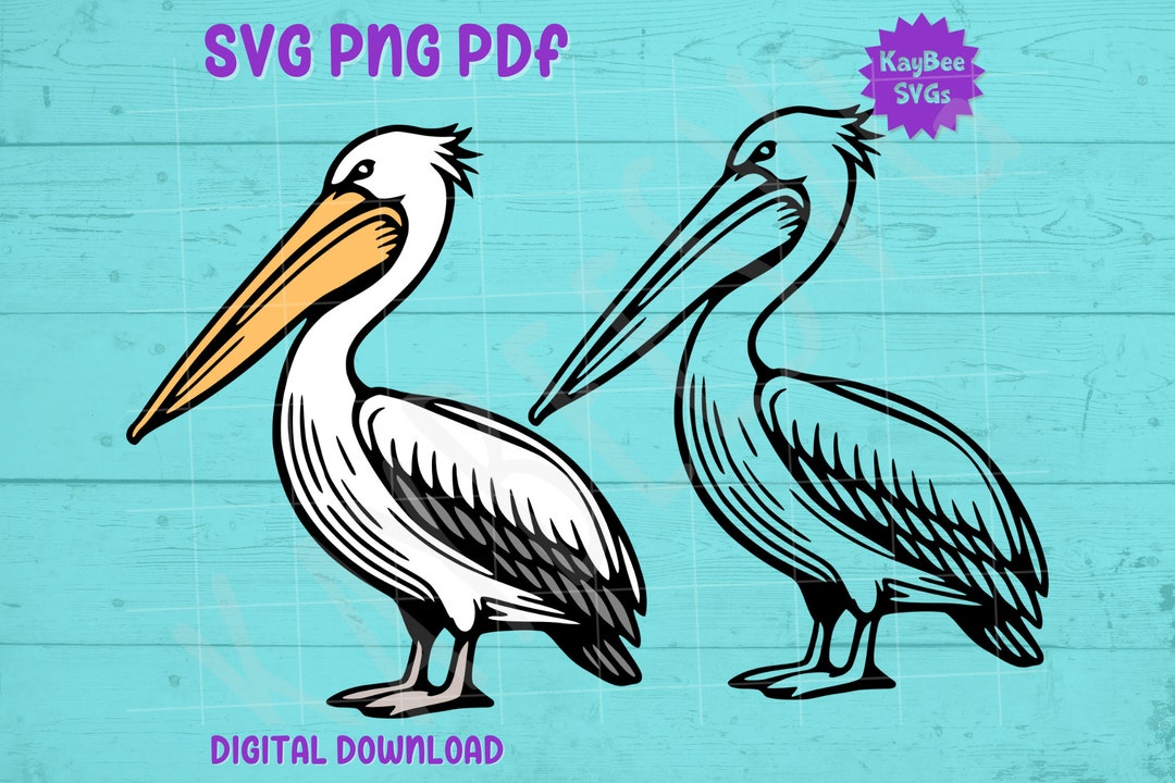 Pelican Bird SVG PNG PDF Clipart Digital Cut File Download for Cricut ...