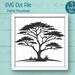 Acacia Tree SVG Digital Cut File for Cricut, Silhouette, Engraving ...