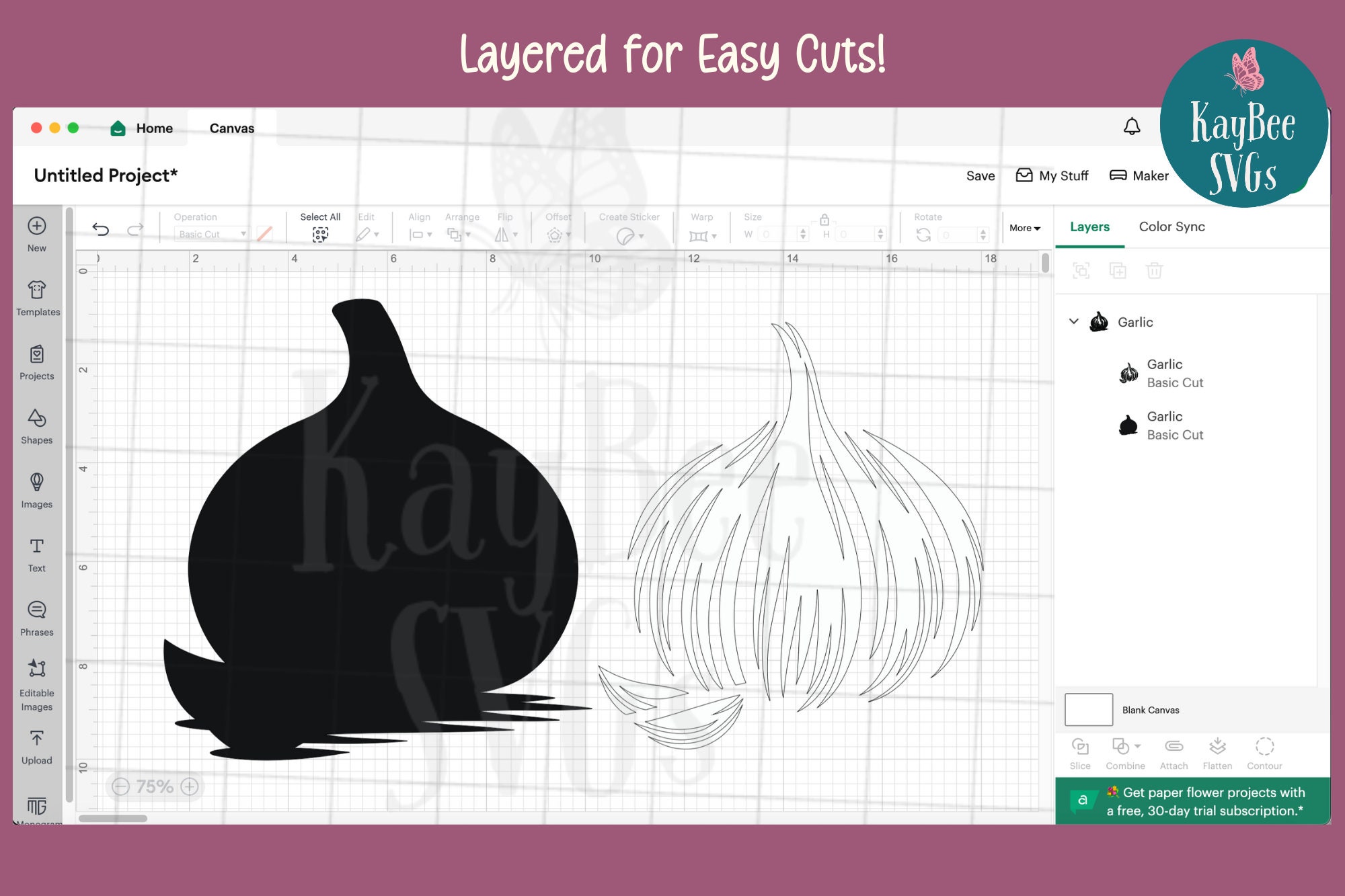 Garlic Head Cut File (svg, Png, Eps, Dxf), Commercial Use (digital ...
