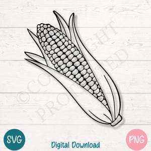 Corn on the Cob SVG PNG Cut Files for Cricut, Silhouette Digital ...