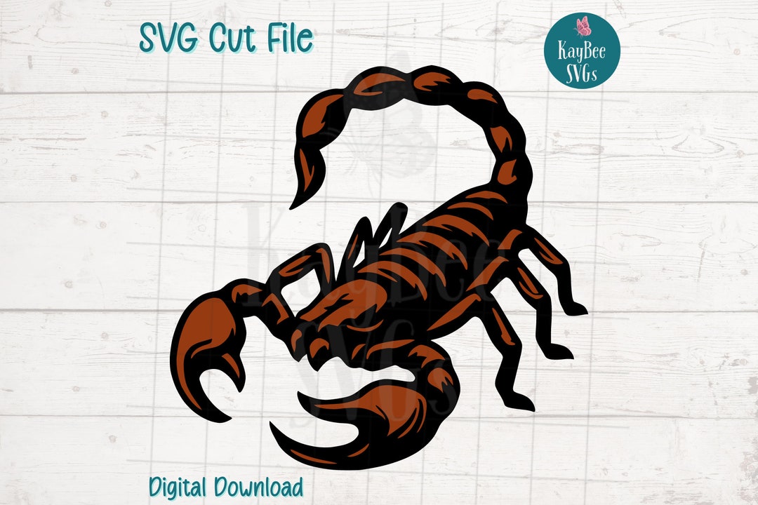 Scorpion SVG Cut File for Cricut, Silhouette, Digital Download ...