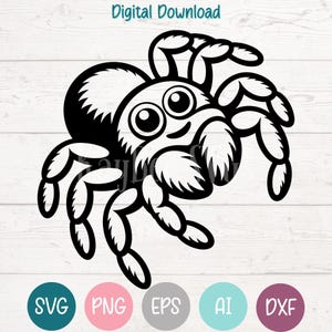 Cute Spider SVG PNG Cut Files for Cricut, Silhouette Digital Download ...