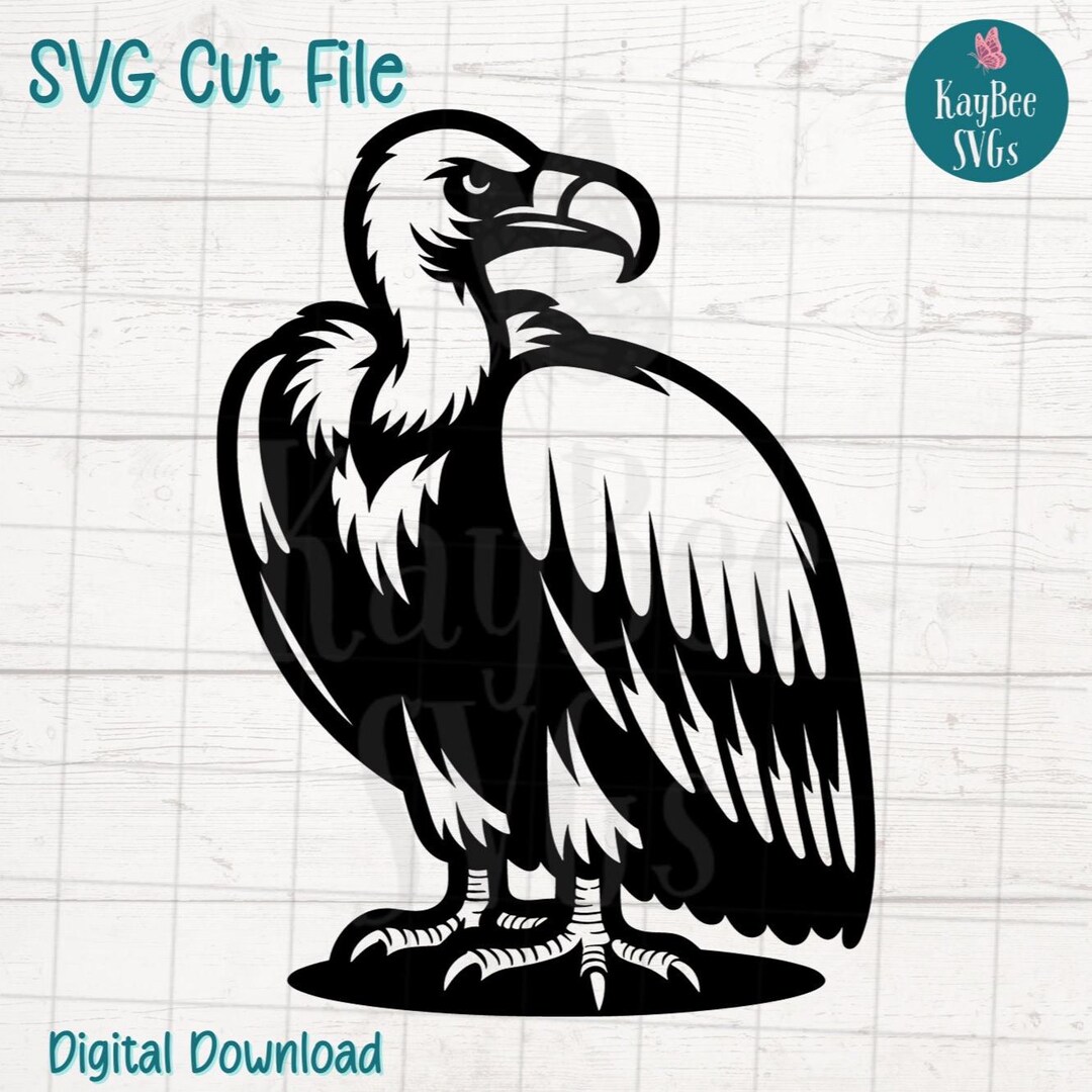 Vulture SVG PNG Bird Silhouette – Scavenger Bird Clipart for Gothic ...