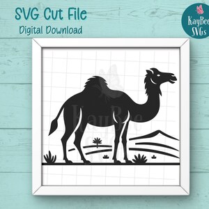 Dromedary Camel SVG Digital Cut File for Cricut, Silhouette, Engraving ...