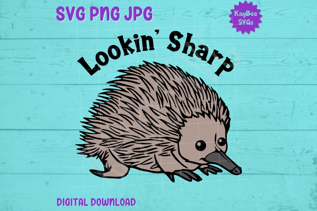 Lookin' Sharp Echidna SVG PNG JPG Clipart Digital Cut File Descargar ...