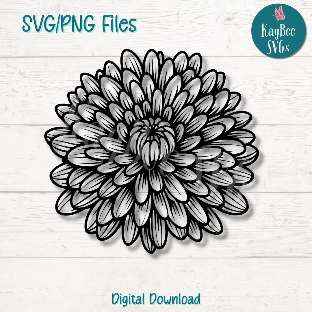 Chrysanthemum SVG PNG Cut Files for Cricut, Silhouette Digital Download ...