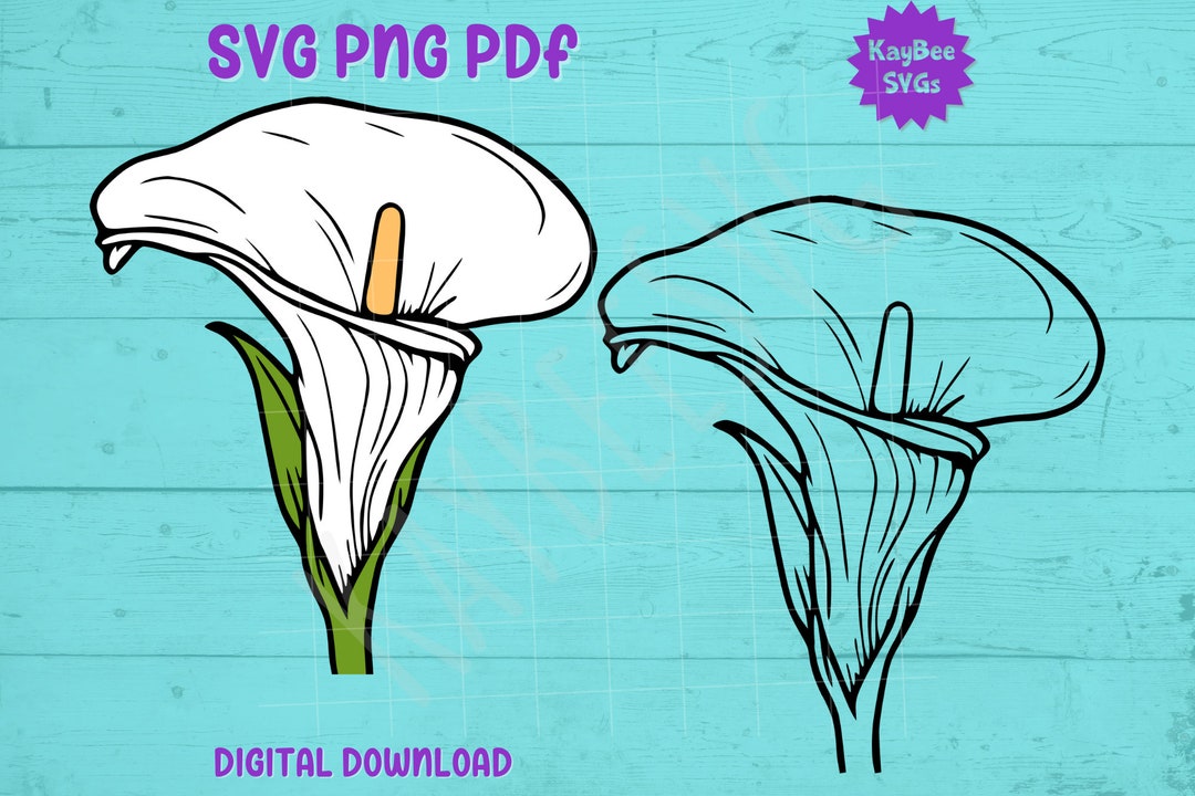 Calla Lily Flower SVG PNG PDF Clipart Digital Cut File Download for ...