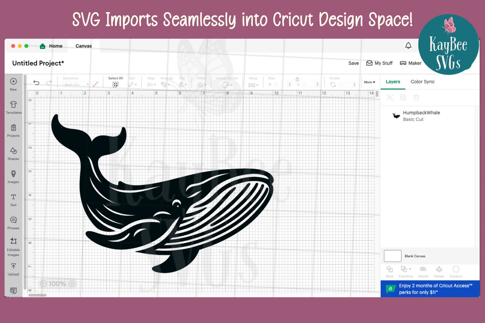 Humpback Whale SVG Cut Files, Printable Clipart (digital) - Etsy