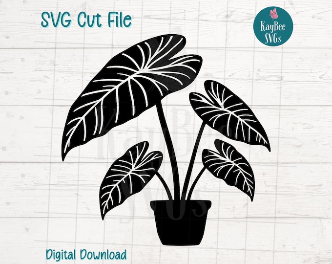 Alocasia Varieties - Plant Identification Chart - Digital Download ...