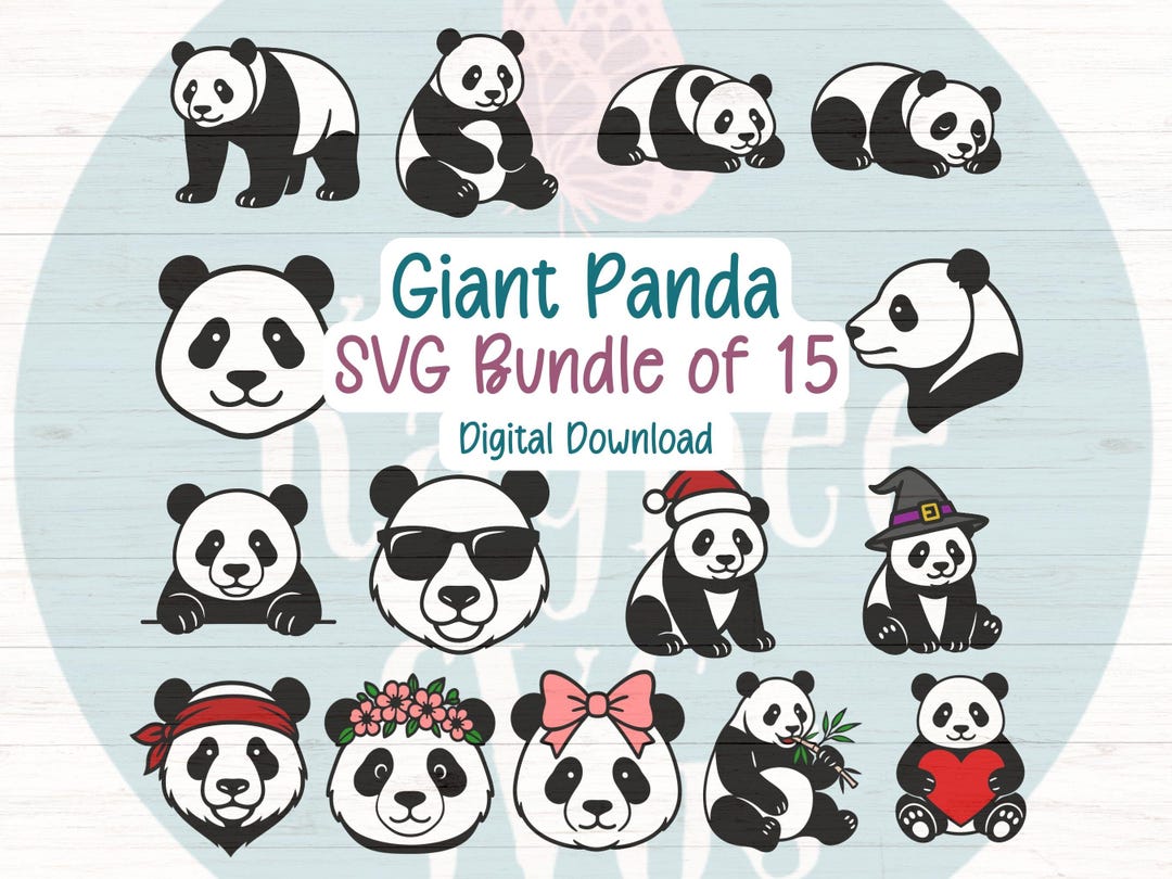 Panda SVG Bundle, 15 Cut Files, Commercial Use (digital) - Etsy