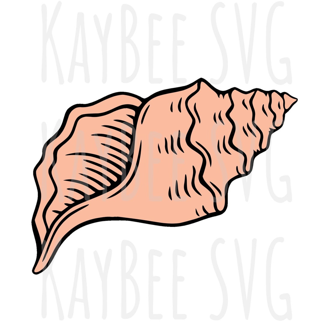 Conch Shell SVG PNG JPG Clipart Print-then-cut File Download - Etsy