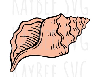 Conch Shell Svg - Etsy