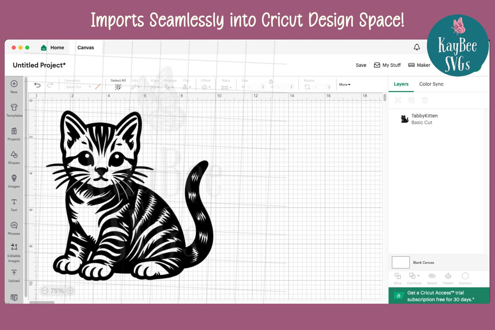 Tabby Cat Kitten SVG, PNG Cut Files (digital Download) - Etsy