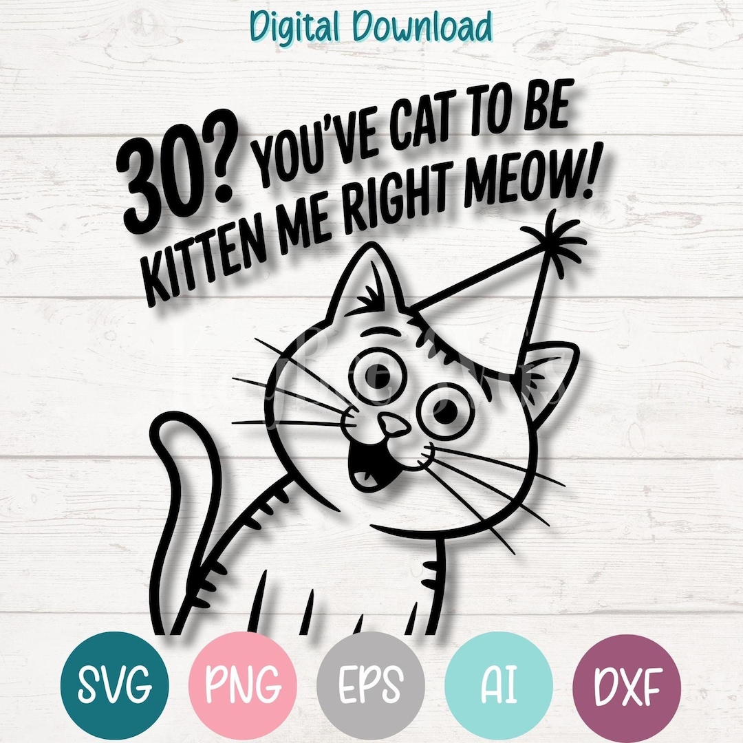 Funny 30th Birthday Cat SVG – Retro Cartoon (digital) - Etsy