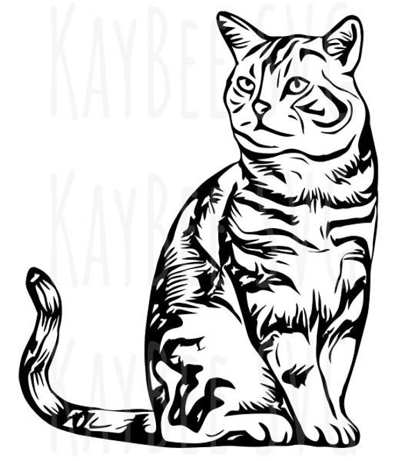 Outline Of Tabby Cats Clip Art Library