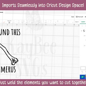 I Found This Humerus (bone) SVG PNG Cut Files for Cricut, Silhouette ...