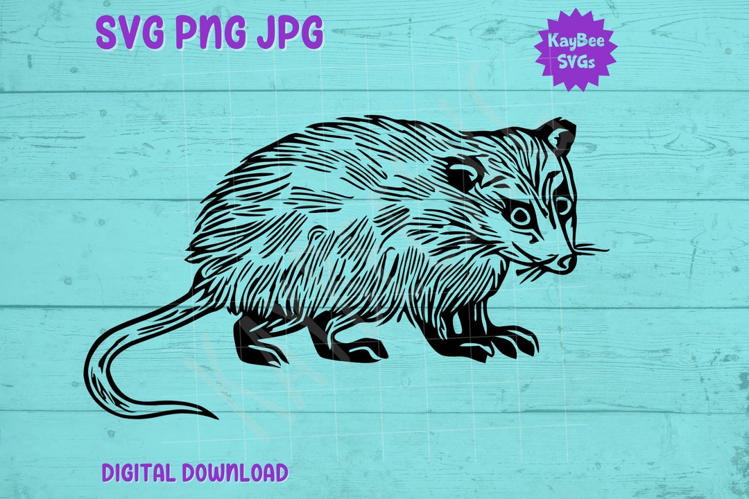 Opossum Possum SVG PNG JPG Clipart Digital Cut File Download for Cricut ...