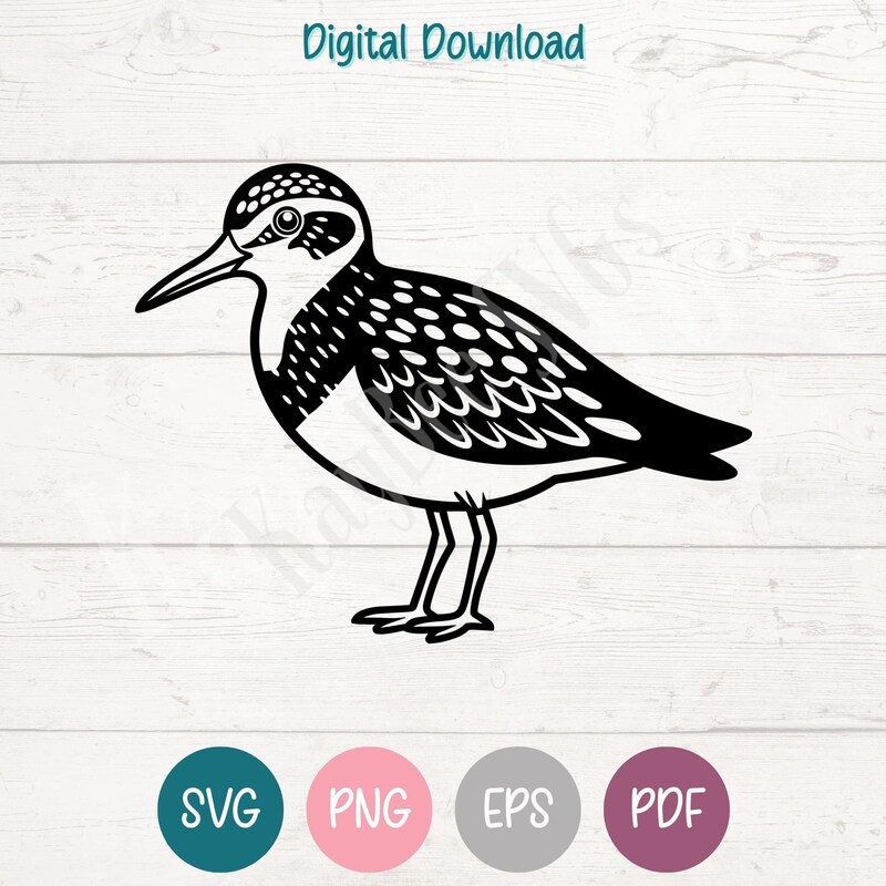 Sandpiper Canvas Art - Etsy