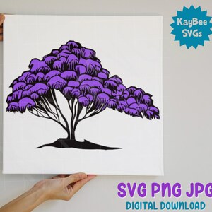 Jacaranda Tree SVG PNG JPG Clipart Digital Cut File Download for Cricut ...