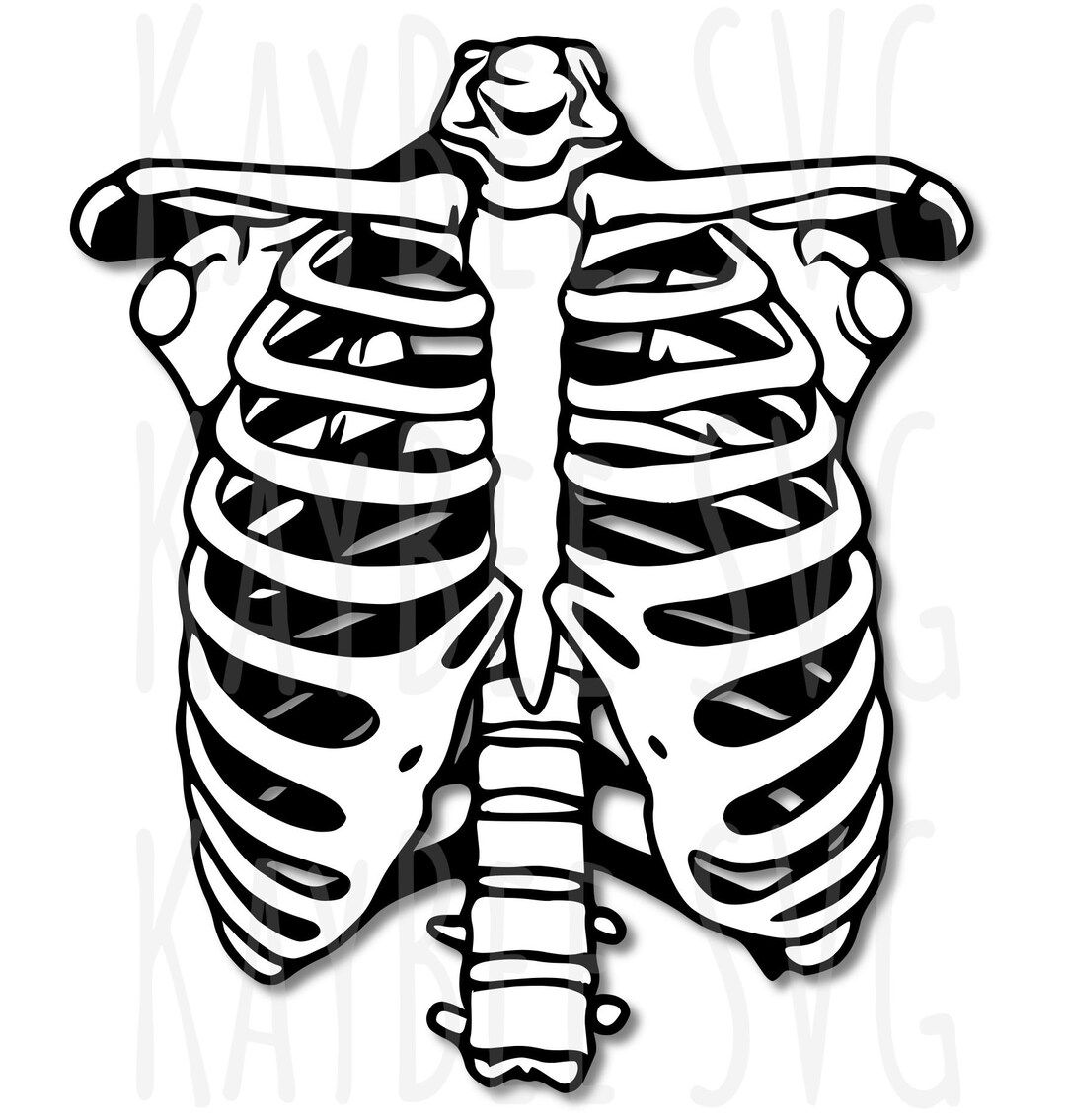 Human Skeleton Ribcage SVG PNG JPG Clipart Cut File Download - Etsy