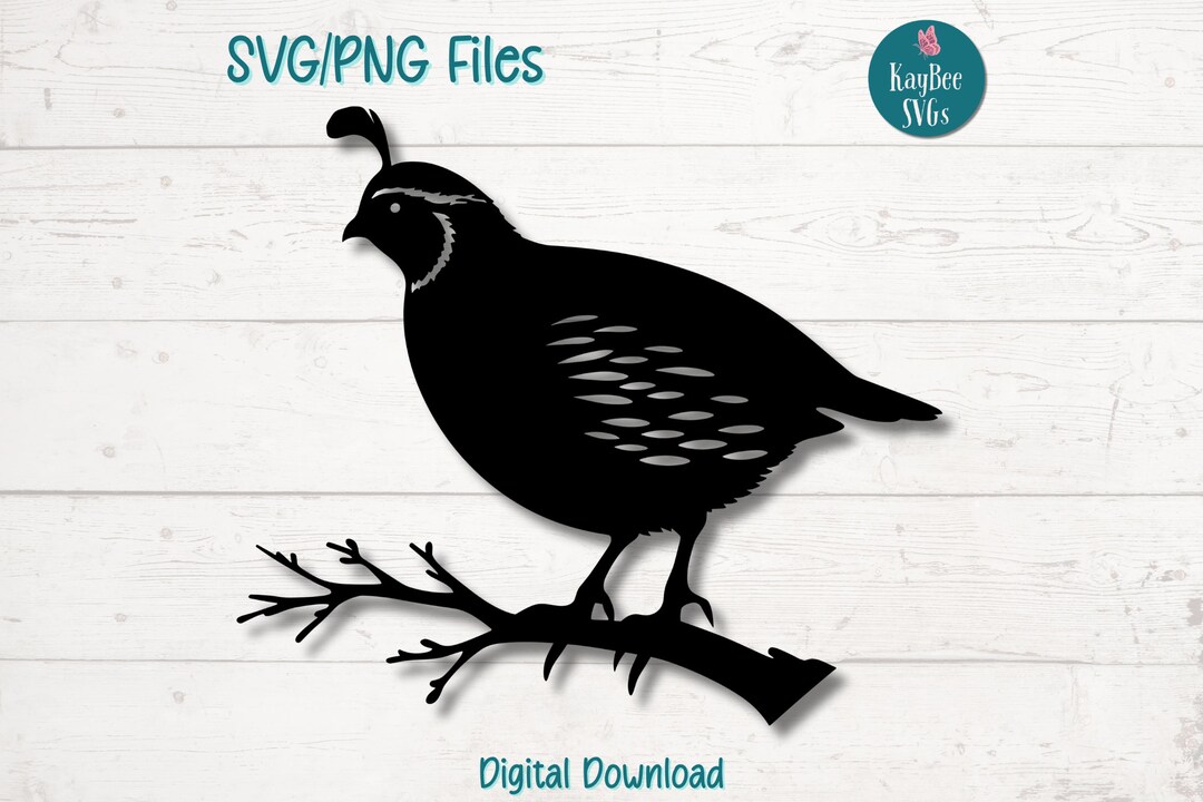 Quail Bird SVG PNG Clipart Cut Files for Cricut, Silhouette, Laser ...