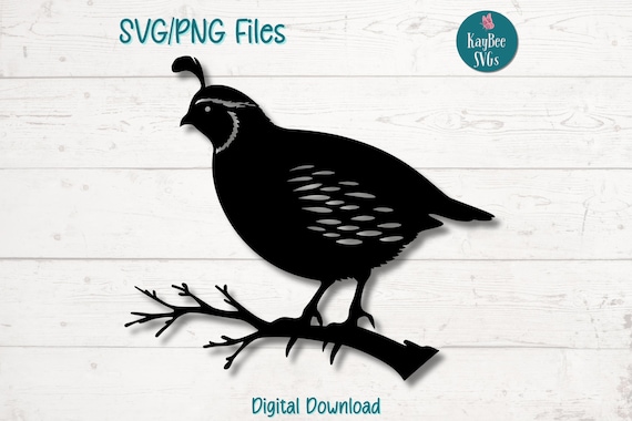 Quail Bird Clipart