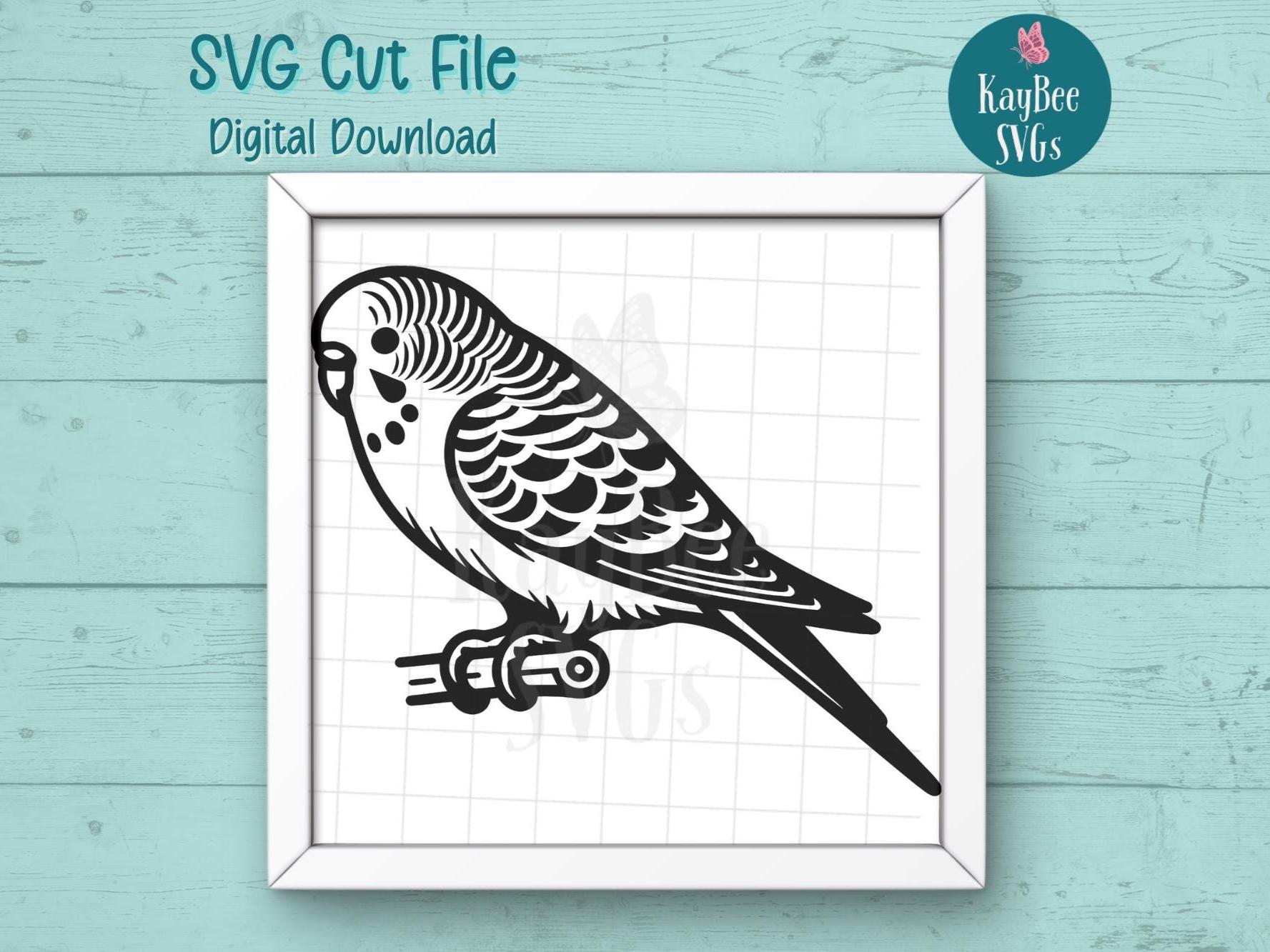 Budgie SVG PNG Clipart Cut Files for Cricut, Silhouette, Laser ...