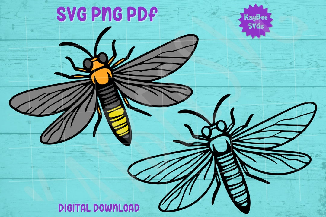 Firefly SVG PNG PDF Clipart Digital Cut File Download for Cricut ...