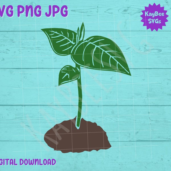 Tree Seedling - Etsy