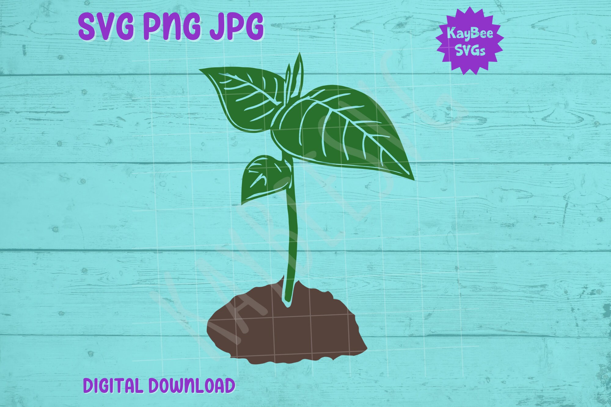 Baby Seedling Clipart